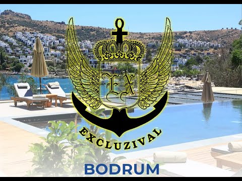 Excluzival Group