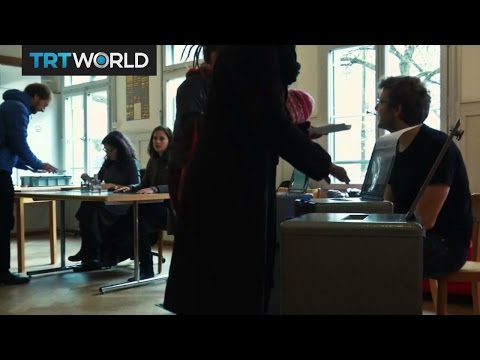Insight: Referendums