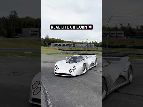 An Unicorn, the One-Off Lotec C1000 🦄