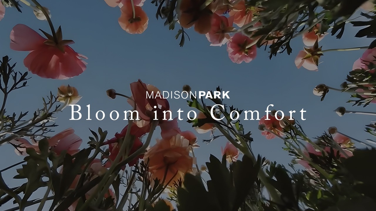 Madison Park Floral Bedding