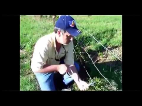 Tighten four barb wire in less than a minute