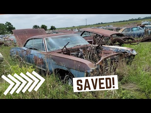 It's Supernatural: 1967 Chevy Impala Junkyard Rescue! Restoration Project car 4 door SAVED!