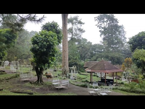 Strolling Down The Kaliurang Park!!