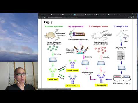 Why monoclonal antibodies might signal the end of generic drugs