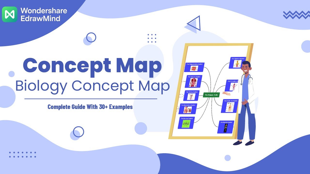 Concept Map | Biology Concept Map Complete Guide With 30+ Examples