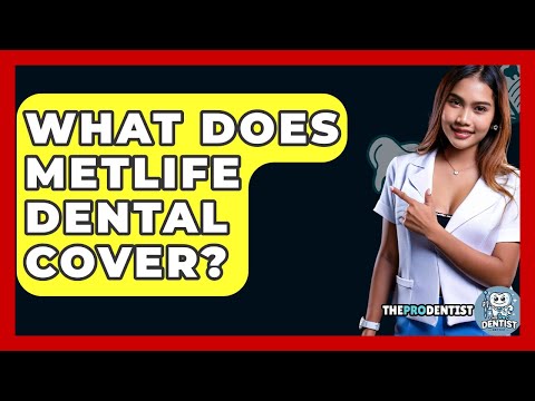 What Does Metlife Dental Cover? - The Pro Dentist