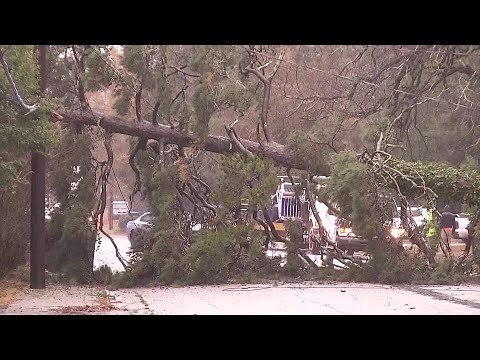 Severe weather, tree falls on Kissingbower road in Augusta