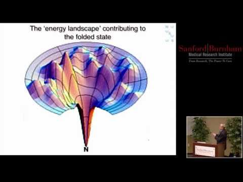 William Balch, Ph.D. - Role of Proteostasis in Rare Disease