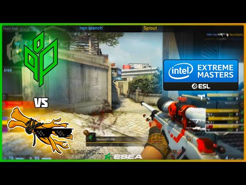 Steam Community :: Video :: Sprout vs Iron Branch | IEM Dallas 2023 - Europe Open Qualifier #1 ...