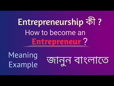What Is Entrepreneurship ? || Who Is Entrepreneur ? || Meaning With Example || In Bengali