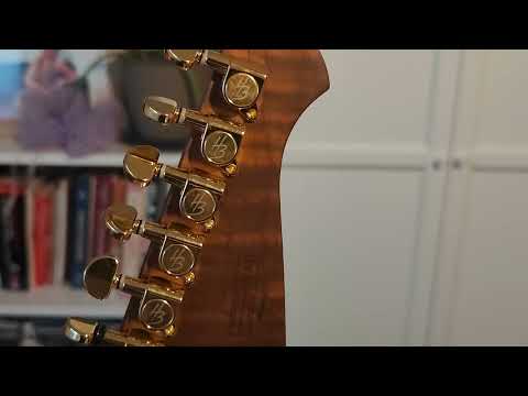 Harley Benton fusion Guitar Max signature