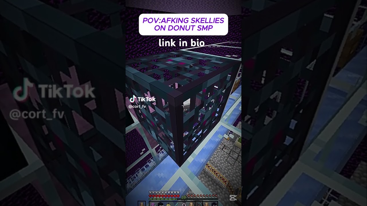 Link in bio best meteor client add on #donutsmp #donut #addon