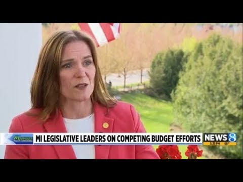 Where does the Michigan state budget stand?