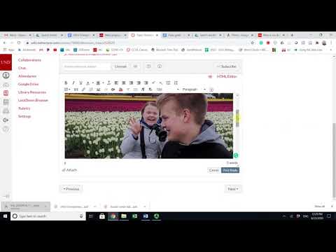 Embedding images in Canvas discussions