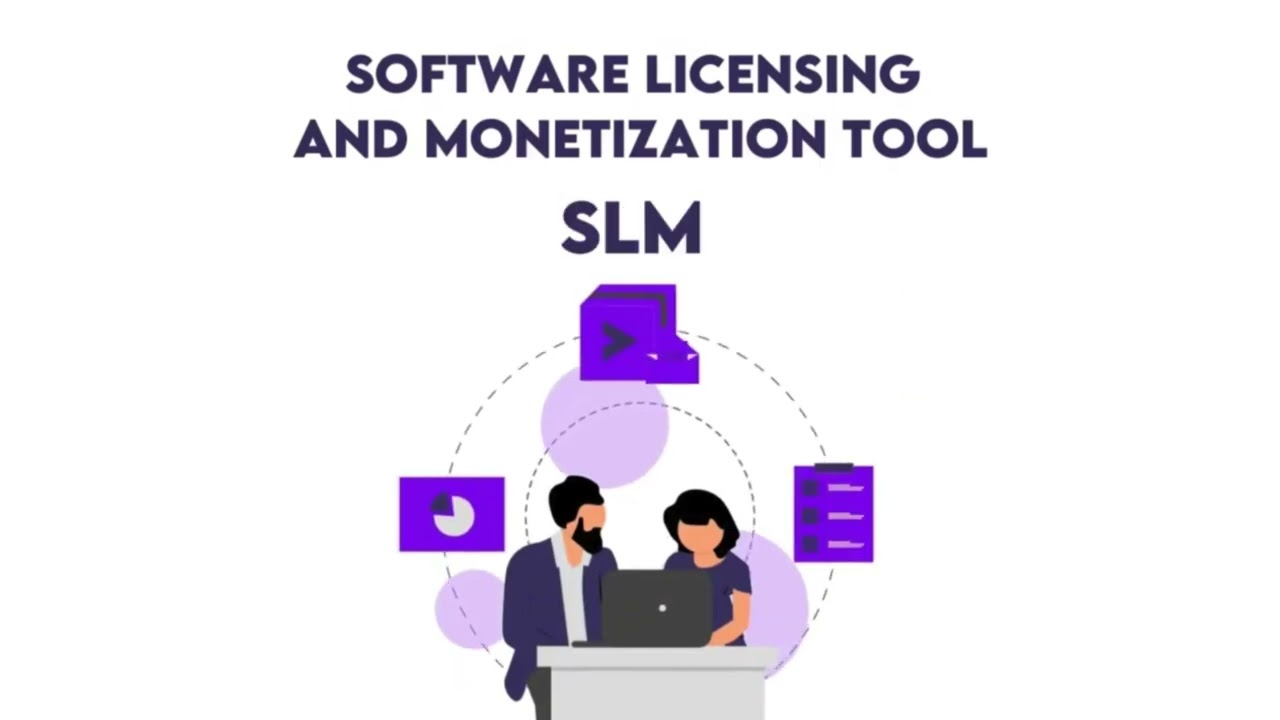 What is Software Monetization?