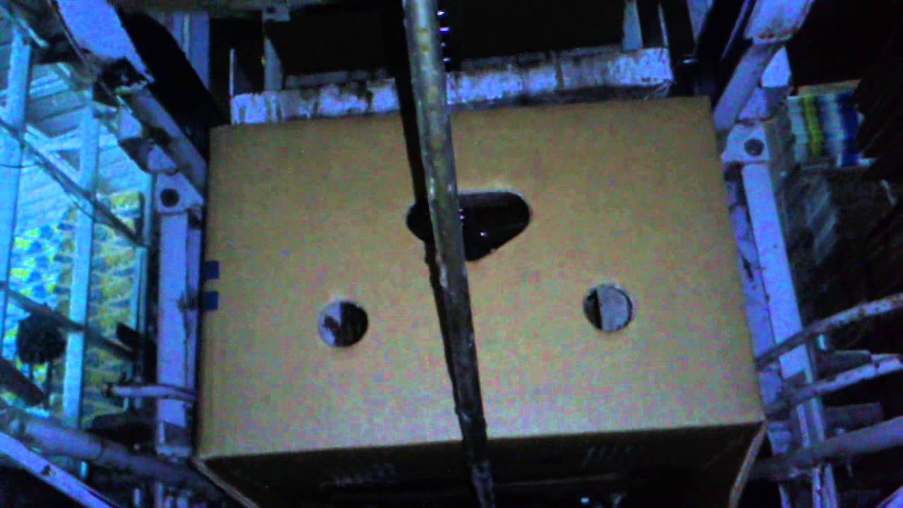 Gluing Machine for Knock down Banana Boxes