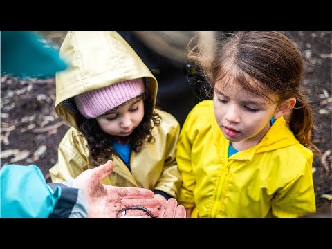 Explore Helen Diller Family Preschool at the JCCSF