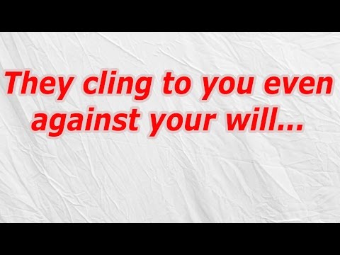 They cling to you even against your will (CodyCross Crossword Answer)