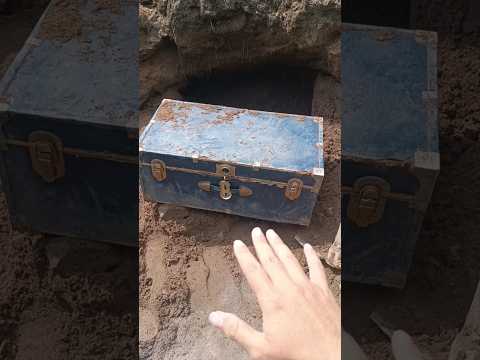 I found a real treasure chest inside an abandoned pool with my dog. #pools