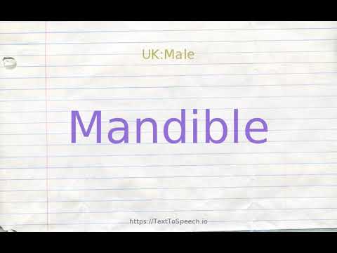 How to pronounce mandible