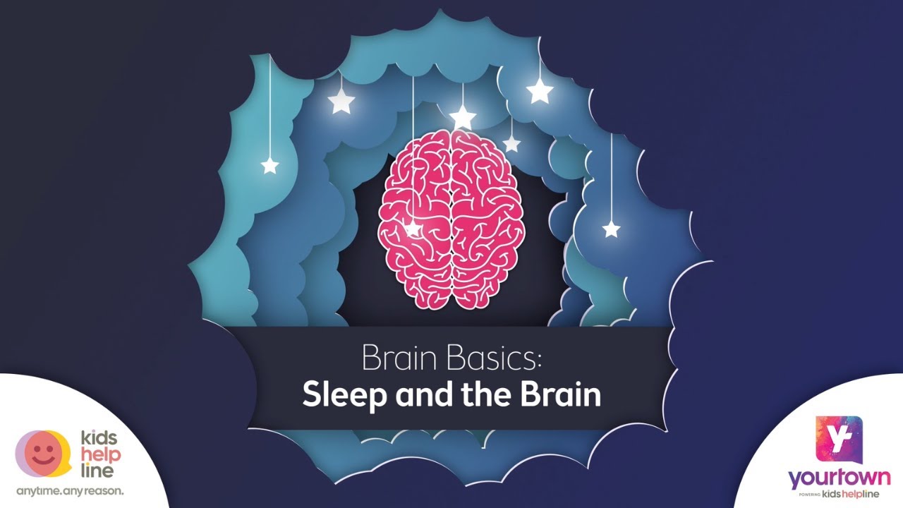 Brain Basics: The sleep deprived brain