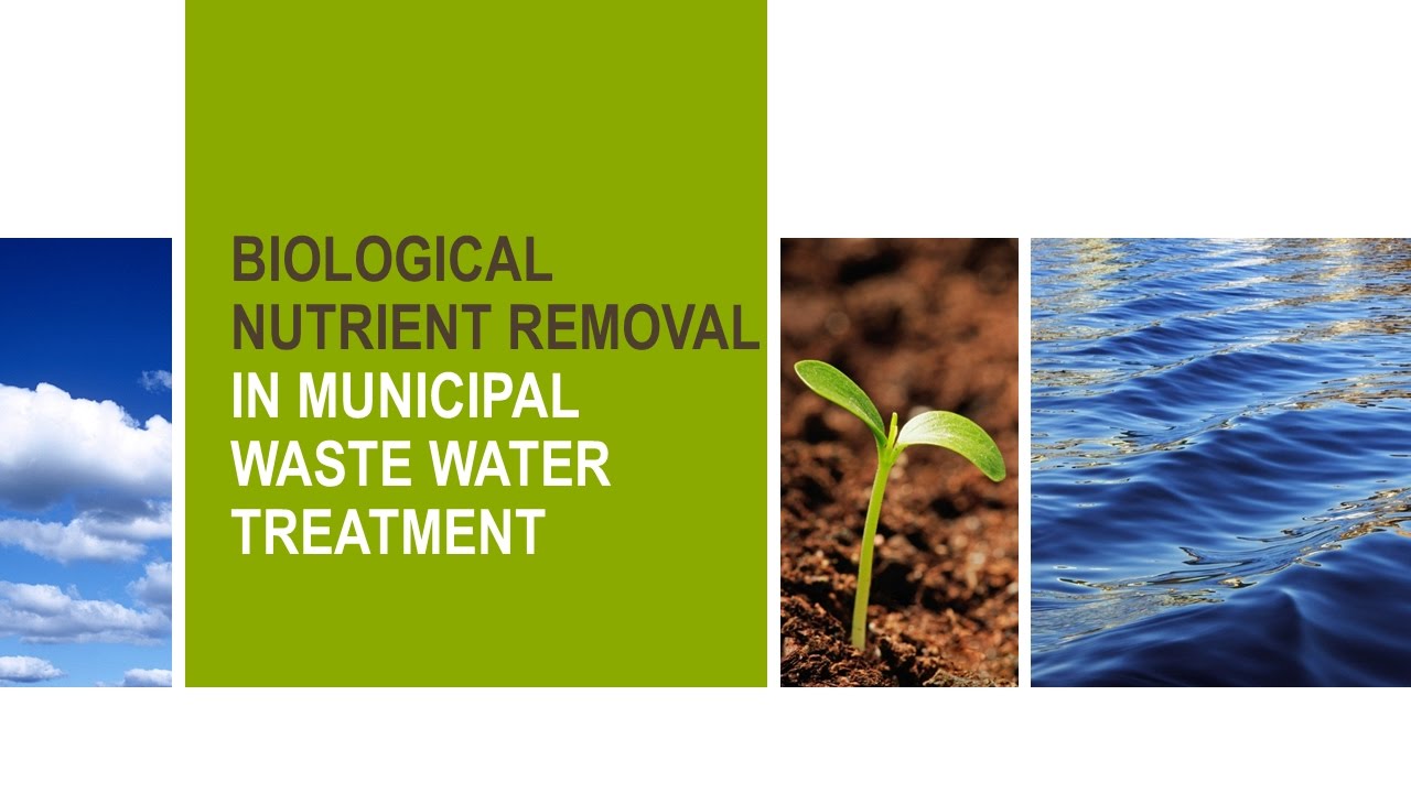 Biological Nutrient Removal (BNR) PPT