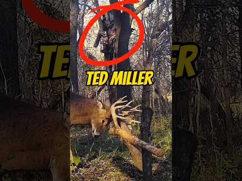 Giant Bow Buck w/ REVERSE ANGLE! #deerhunt #hunting #thehuntingpublic