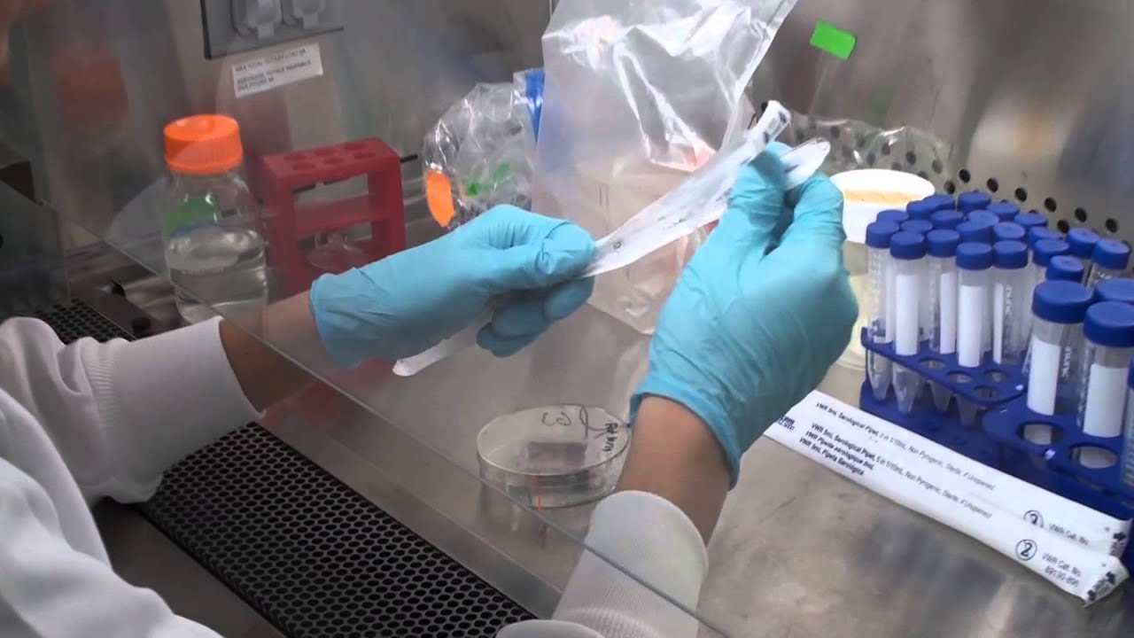 BioE 498 Day 2, Lab 3