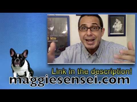 Japanese Blood Type Obsession! (with Maggie Sensei)