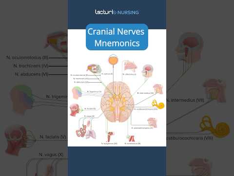 Cranial Nerves Mnemonics for Nursing Students 🧠💡 #CranialNerves #NursingMnemonics #StudyTips