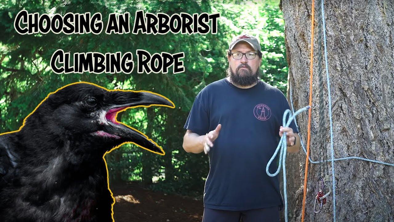 Choosing an Arborist Climbing Rope with WesSpur's Niceguydave (and crows)