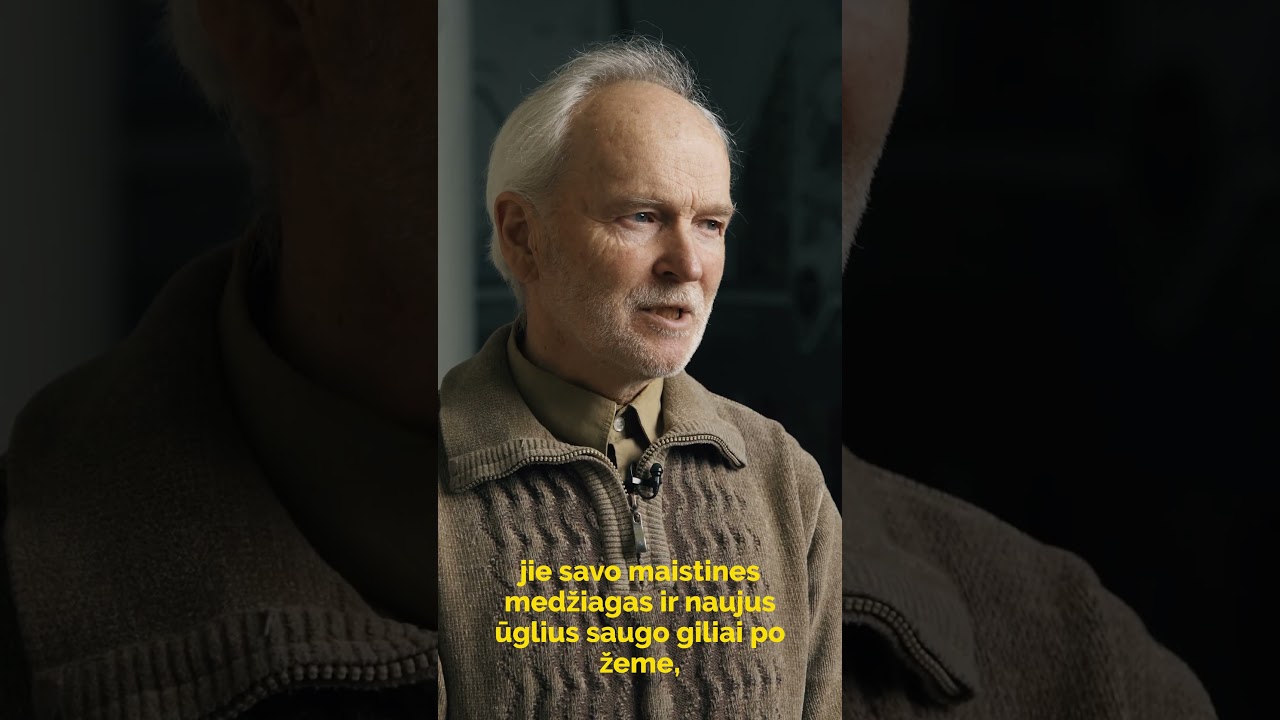 Dr. Eugenijus Drobelis apie kontroliuojamą deginimą