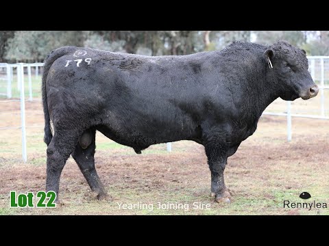 Lot 22 Rennylea NOR22T79