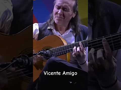 Flamenco guitar-Vicente Amigo
