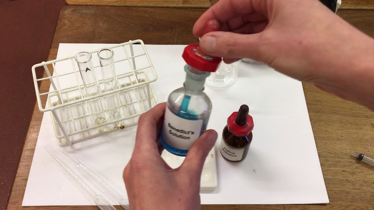 Starch and amylase