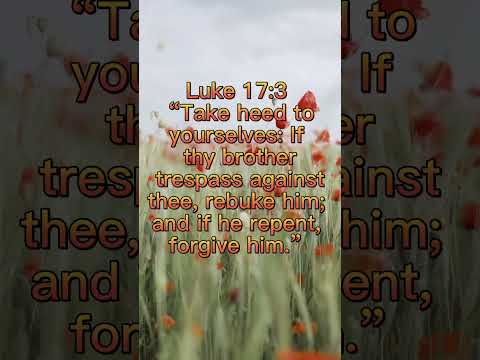 What the Bible Says About Accountability