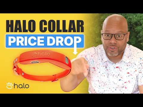 Halo Collar 4 Review & PRICE DROP Reveal — Worth It Now?