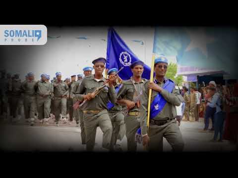 Flags of Somalia: The Full Story🇸🇴 #somalia #Somaliaflag #somali