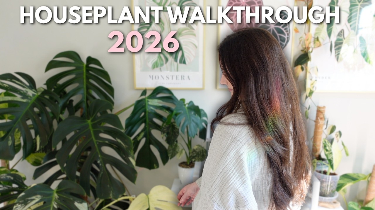 Walkthrough My Houseplant Collection in January 2026 🌱