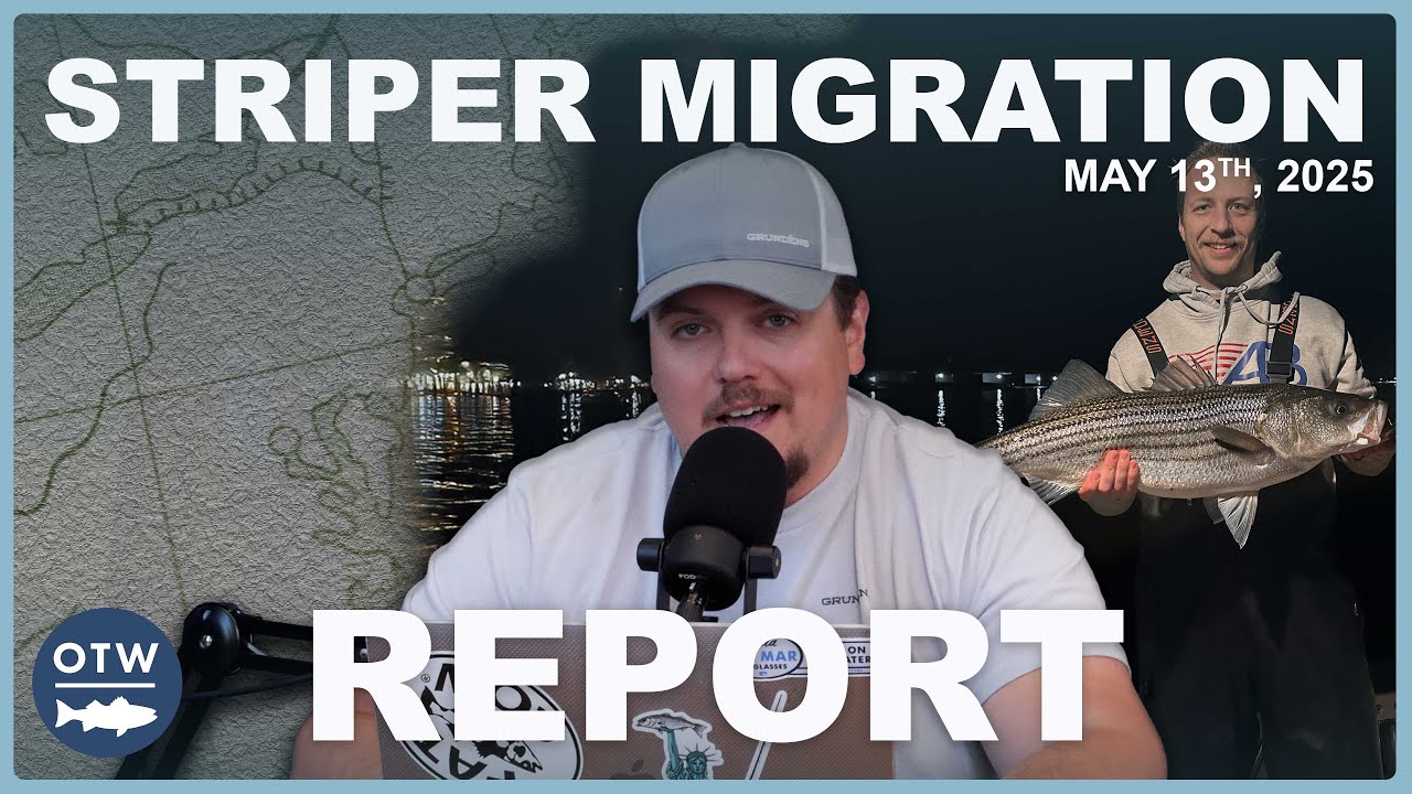 Striper Migration Report | May 13th 2025
