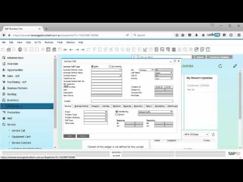 SAP Business One 9.2  - Linking User Defined Fields and System Entities
