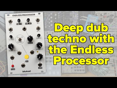 Blukac Endless Processor 2024 - Silver | Reverb
