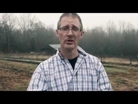 Dorking Birds trailer for Dorking Birds Training Video