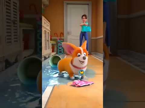 मोको funny video #shorts #short#youtubeshorts #viral #funny #trending