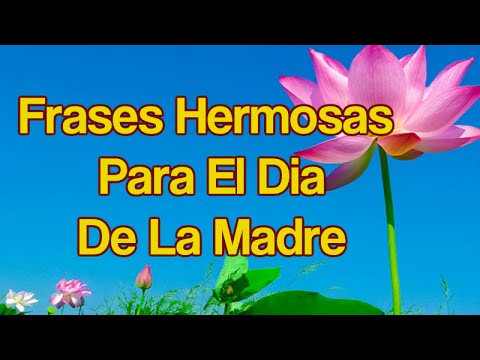 50 Frases Hermosas Para El Dia De La Madre - Feliz Dia De La Madre