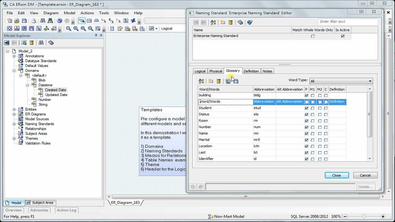 010 ERwin Data Modeler Template
