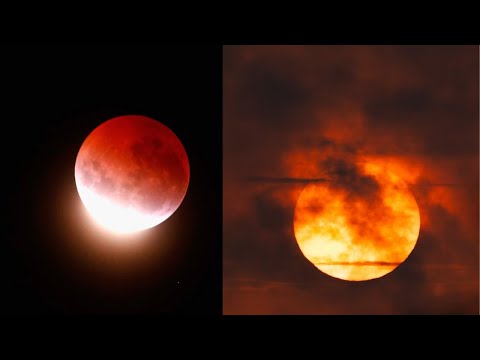 Blood Moon Spiritual Meaning 2022 Updates Blood Moon