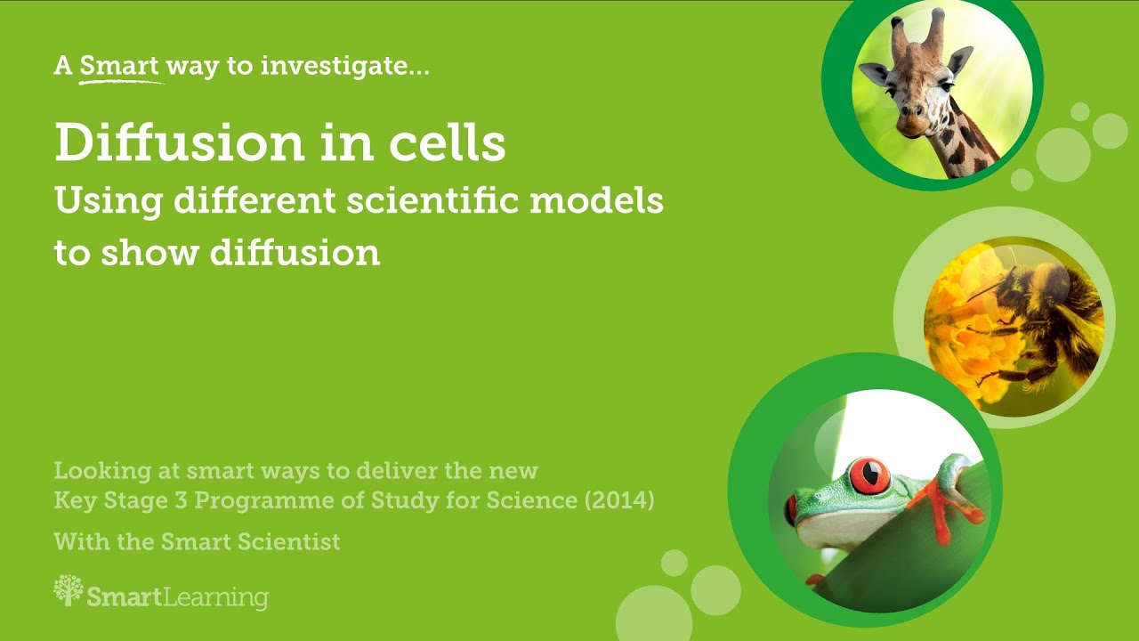 Smart Science - Diffusion in cells