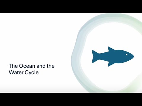 The Ocean and the Water Cycle