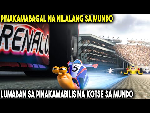 Paano Nakipag Kumpetensya Ang Pinakamabagal Na Nilalang Sa Mundo Laban Sa Pinakamabilis Na Kotse